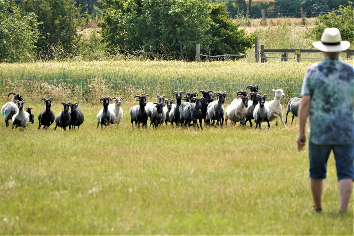 Aktuelles – Filzfun